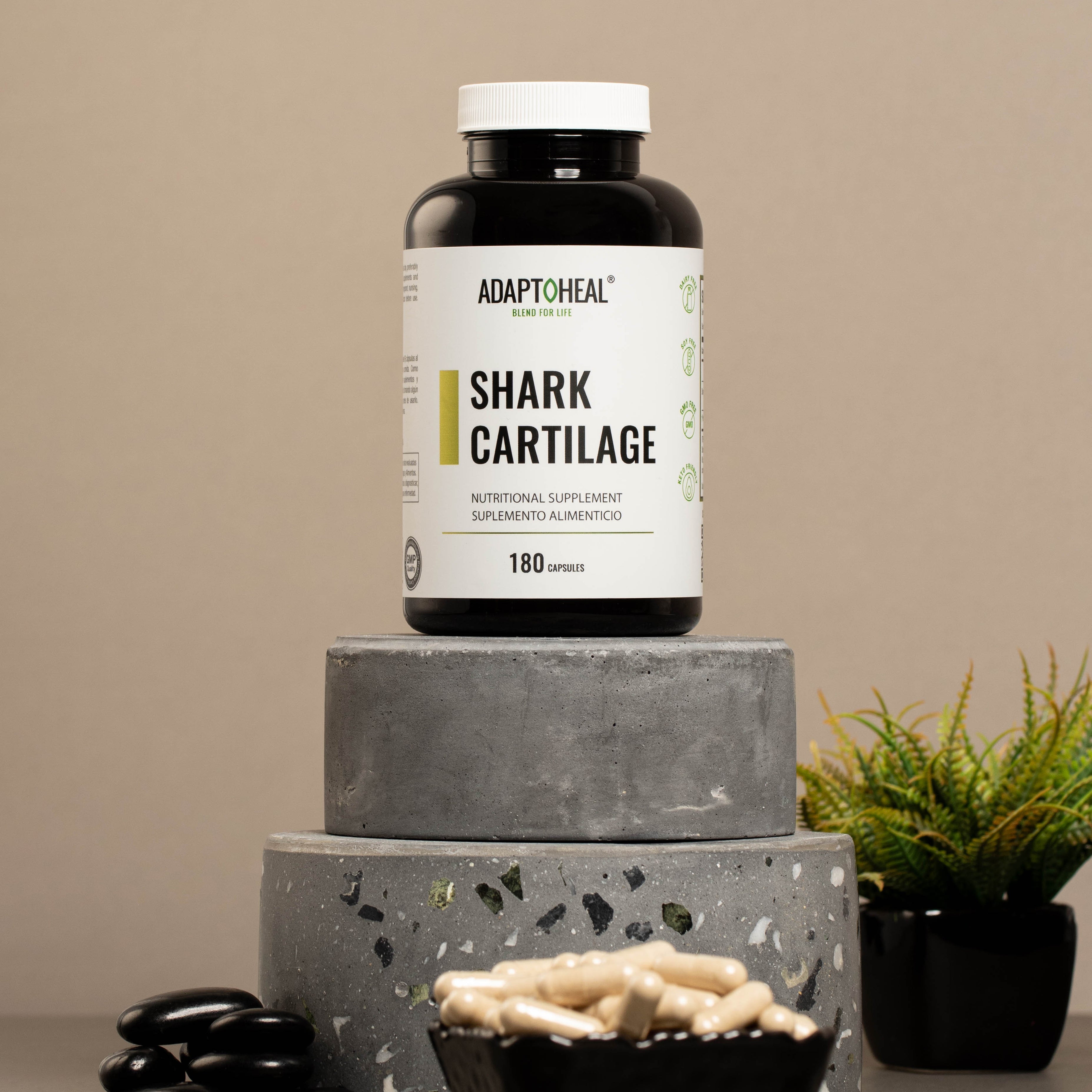 Shark Cartilage: Strengthen your joints naturally – ADAPTOHEAL US