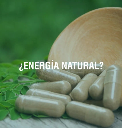 Adaptogens and their energy contribution – ADAPTOHEAL USA